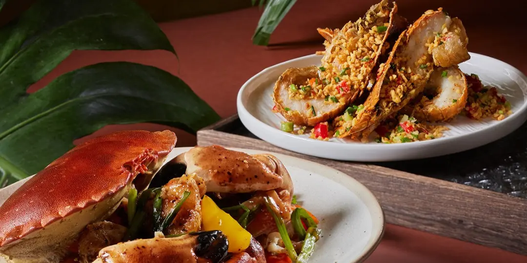 [For 1][Mon-Fri][Adult/Child/Senior] Southeast Asian Frenzy Dinner ...